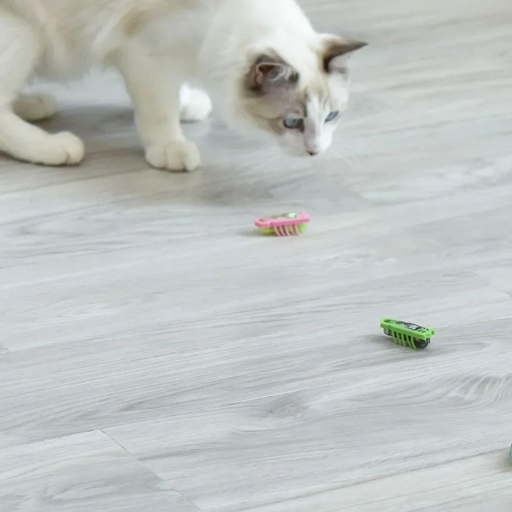 Phantom Prowler – Interactive Prey Toy for Cats | Every Tail UK